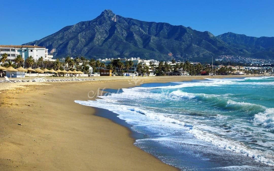 Private Tours from Marbella in Style